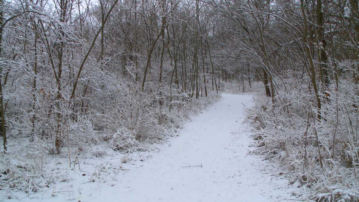 PHOTOS: Cortney Kintzer shares 'A Winter Morning'