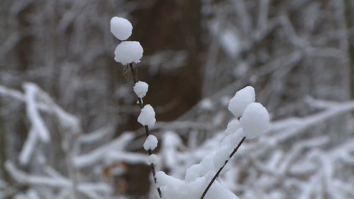 PHOTOS: Cortney Kintzer shares 'A Winter Morning'