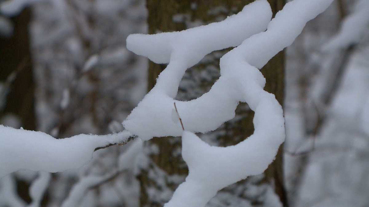 PHOTOS: Cortney Kintzer shares 'A Winter Morning'