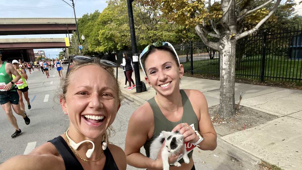 Boston runner finds stray kitten new home during Chicago Marathon