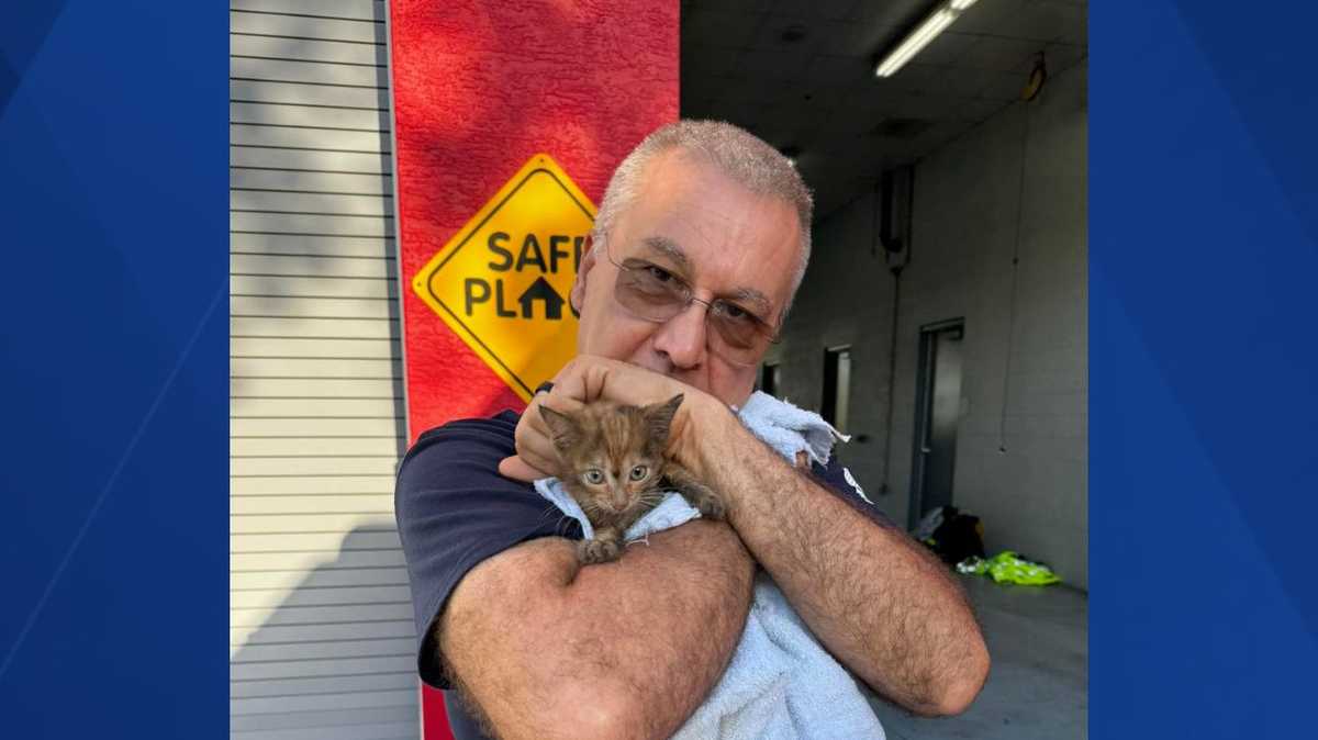 Kitten found stuck in South Trail fire engine gets new home with ...