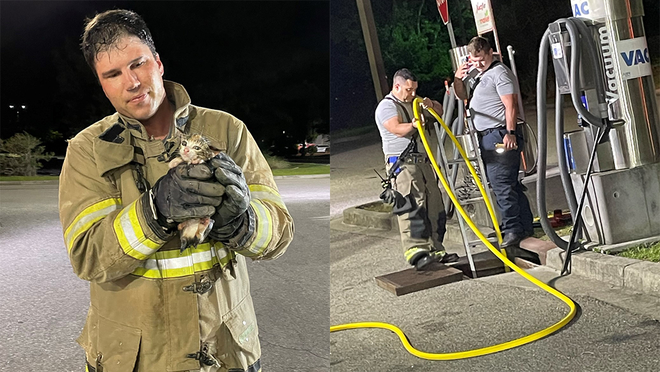 South Carolina fire crews work to rescue kitten from storm drain
