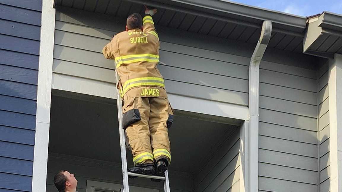 Slidell kitten stuck in apartment complex wall rescued