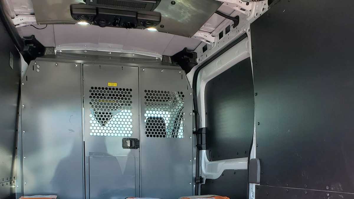 110 kittens and cats rescued from Louisiana looking for homes in ...