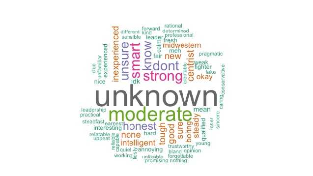 NH poll results: Words associated with Democratic candidates