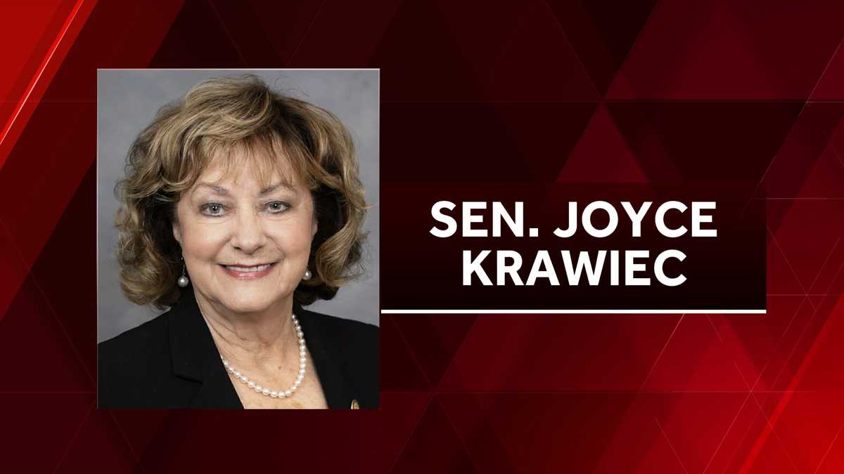 North Carolina: Forsyth County senator Joyce Krawiec announces retirement