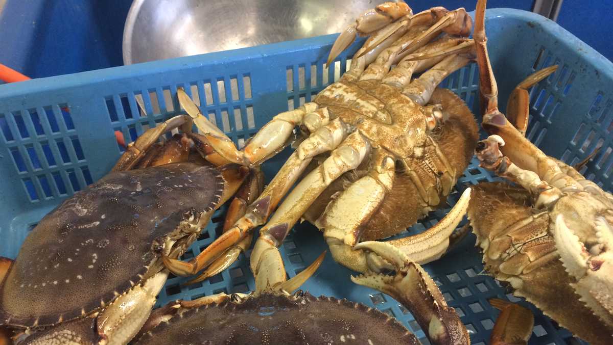 Monterey Bay fish markets flush with crab
