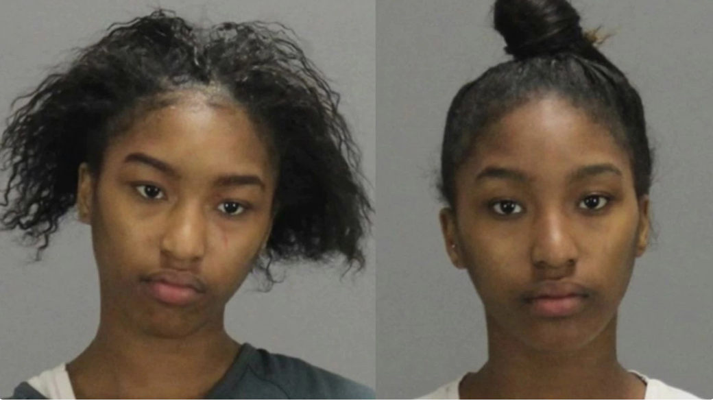 Georgia twins face charges after woman is beaten with frying pan