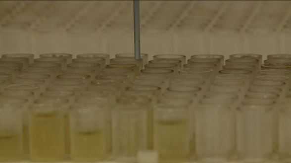 Midwest Laboratories plans for expansion, new jobs with takeover of ...