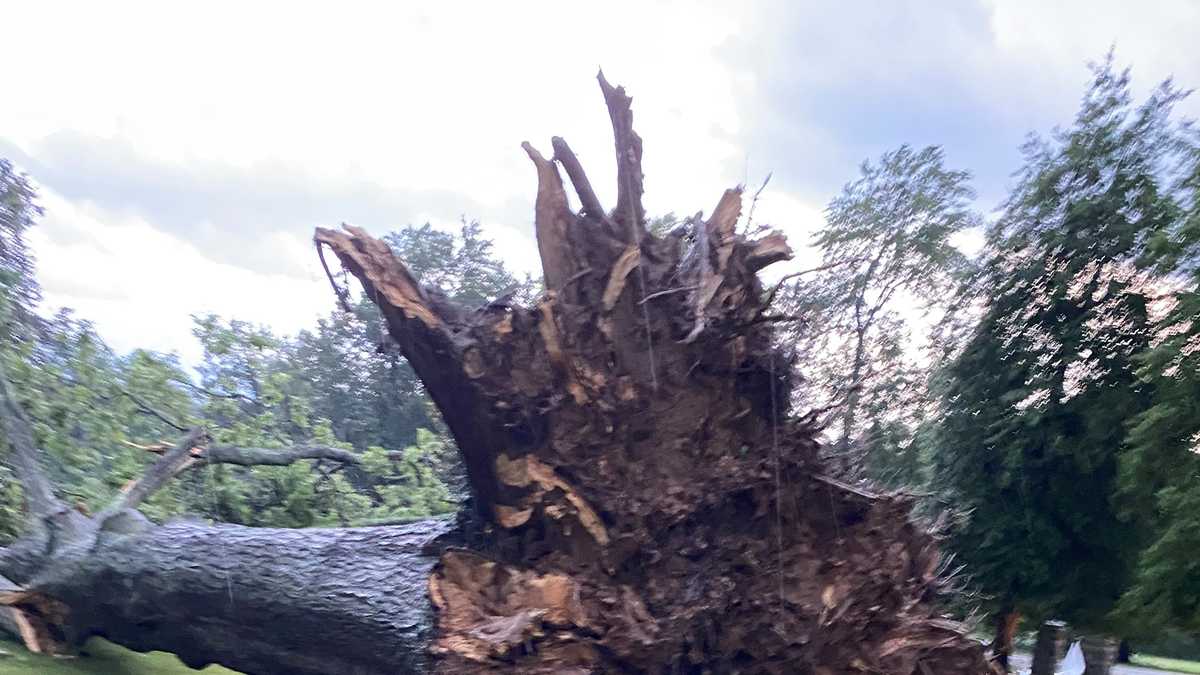 PHOTOS: Large hail, wild clouds and damage from Sunday's severe storms