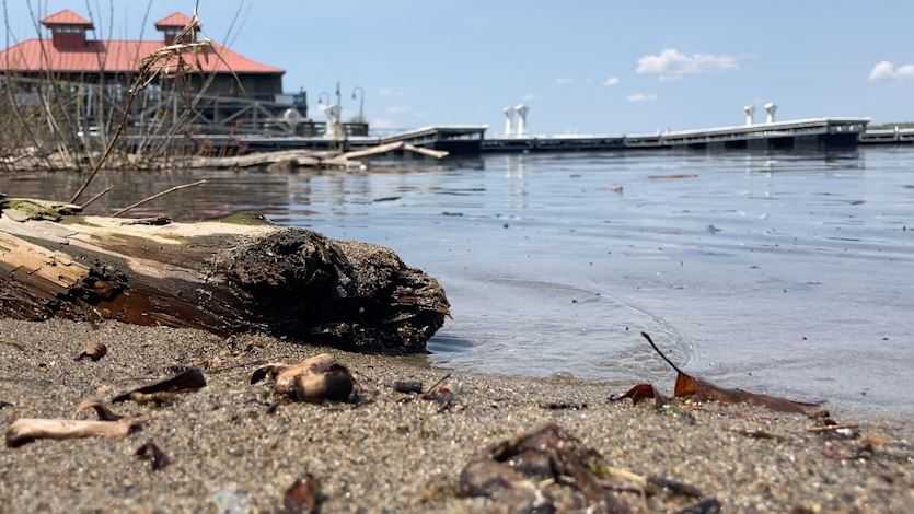 Slowing stormwater runoff, helping to protect the future of the Lake ...