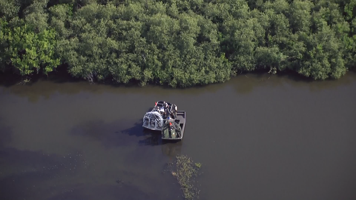 Report: Florida 'thrashing gator' swam away with victim