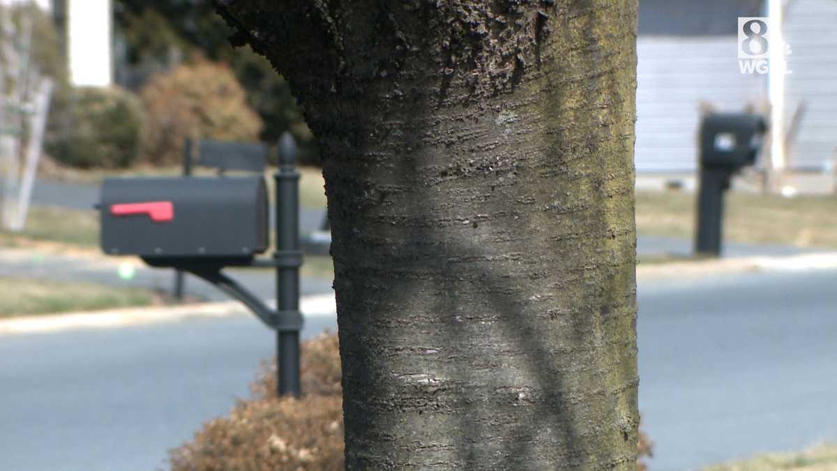 Police investigate social media post in Lancaster County baby burial case