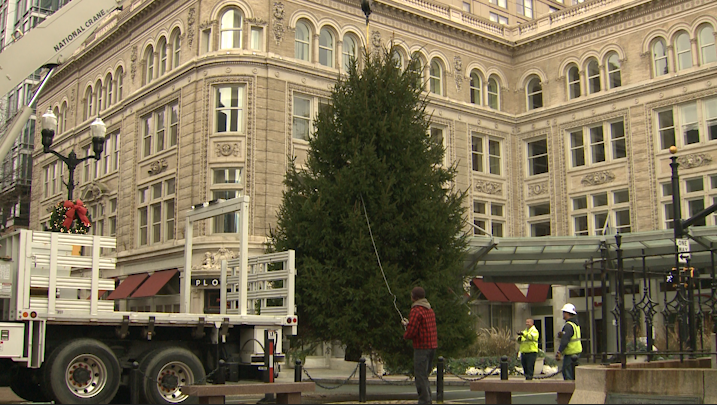 Holiday tree arrives in Lancaster's Penn Square