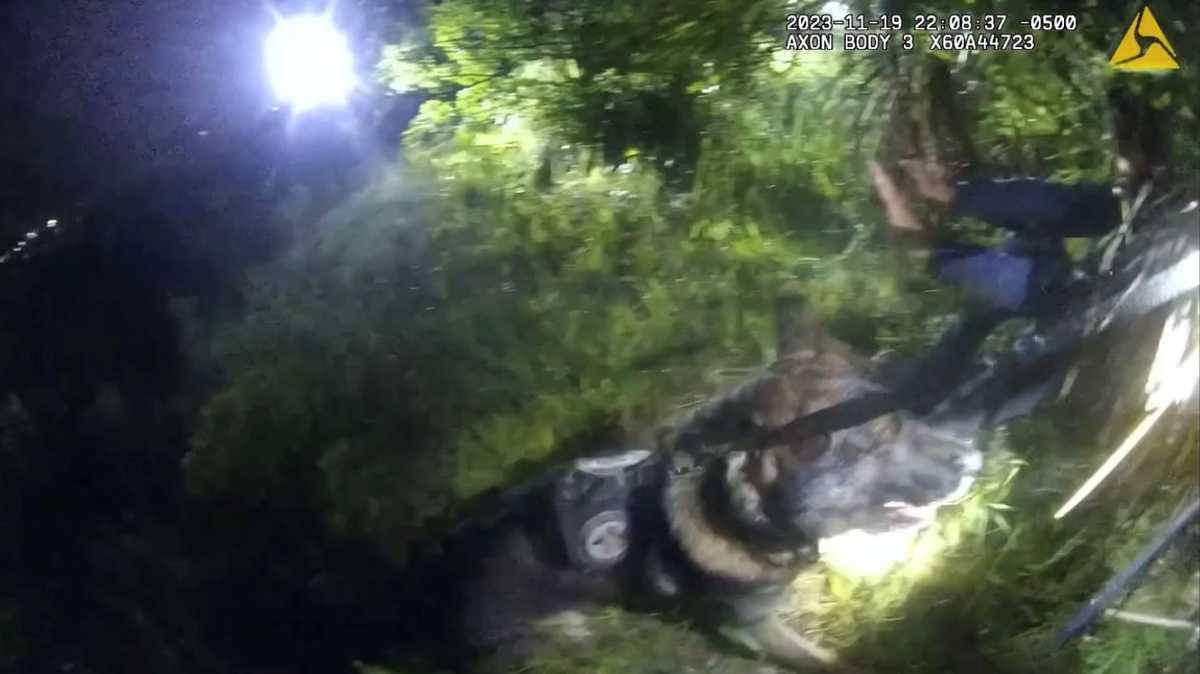 EXCLUSIVE: Police bodycam shows end of wild police chase on the ...