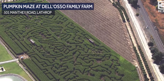 5 corn mazes to venture through in Northern California