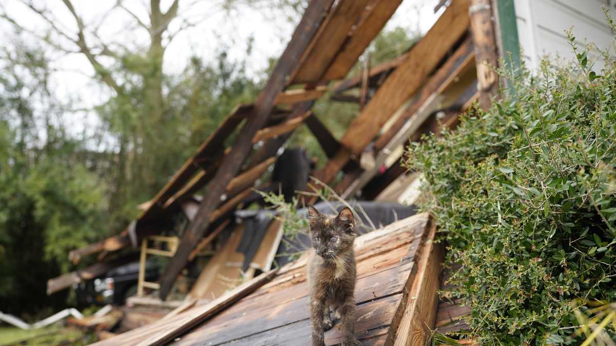 GALLERY: Damage from Hurricane Laura