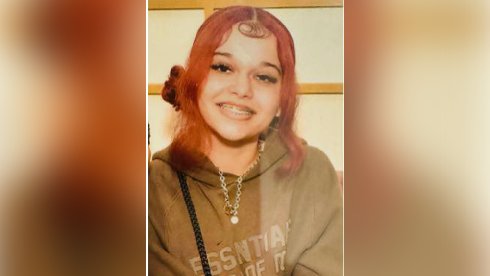 Missing in Georgia: Police searching for teenage girl