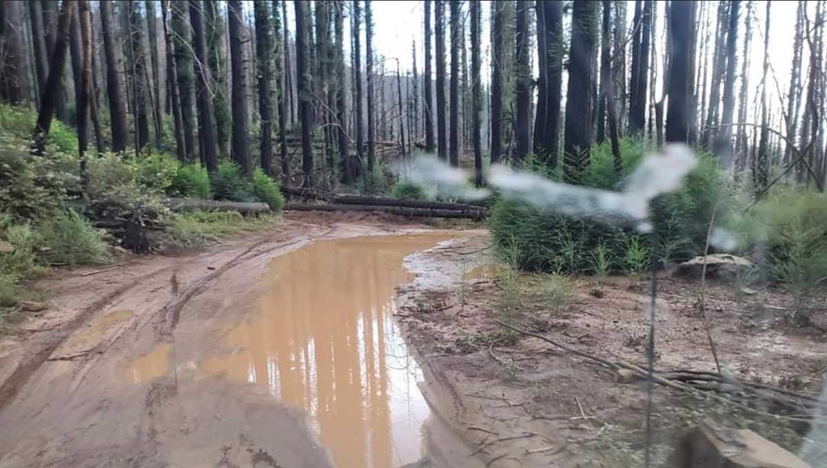 Santa Cruz County Mountain roads a mess after debris cleanup after CZU ...