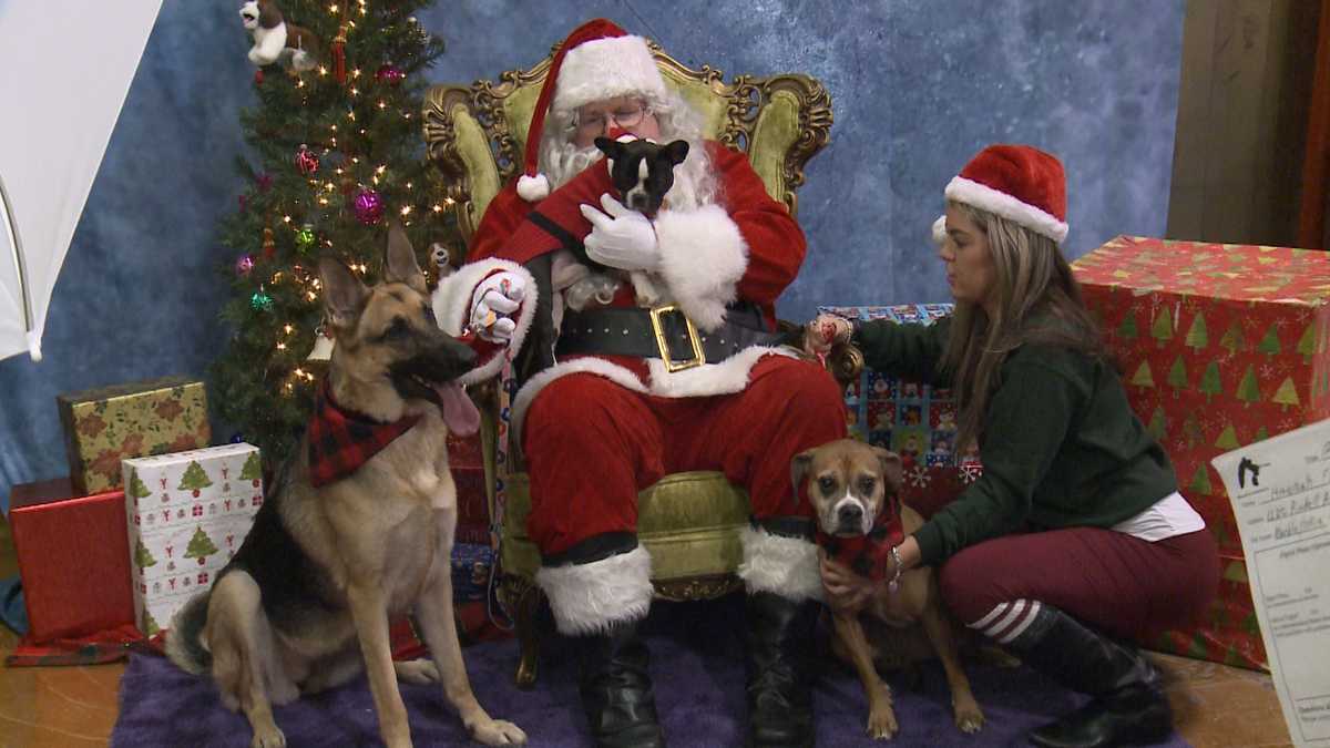 Get your pet's photo with Santa while helping animal shelters