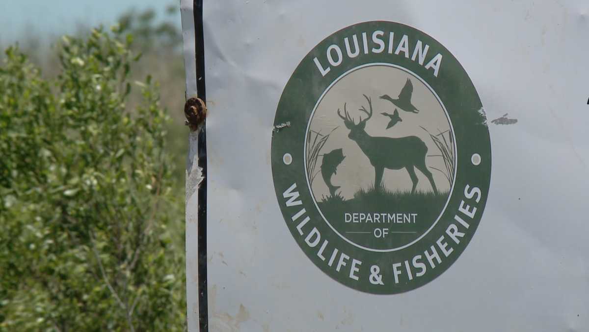 LDWF investigating fatal boating incident on Lake Chicot