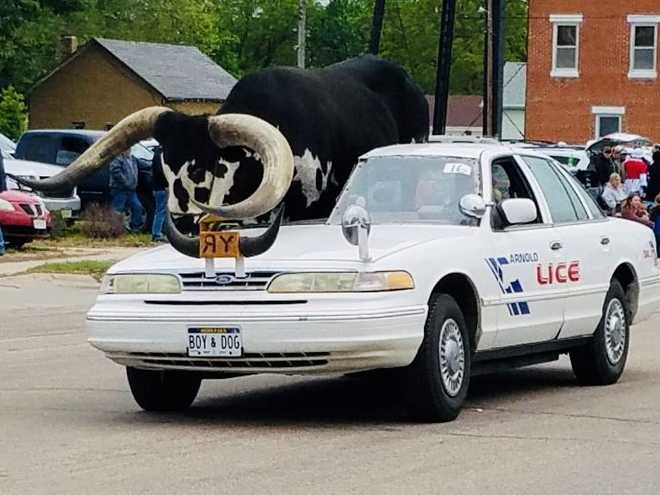 The Inside Story Of The Viral Bull Riding Shotgun In Nebraska