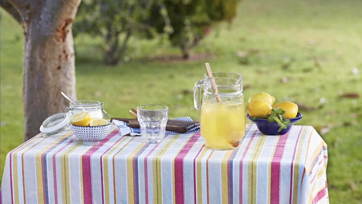 Neighbors raise $300 for flood relief with lemonade stand