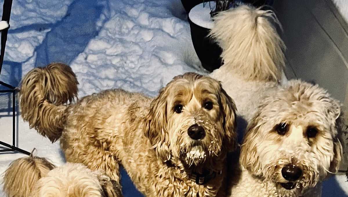 PHOTOS: Winter storm Blair leaves behind several inches of snow across ...