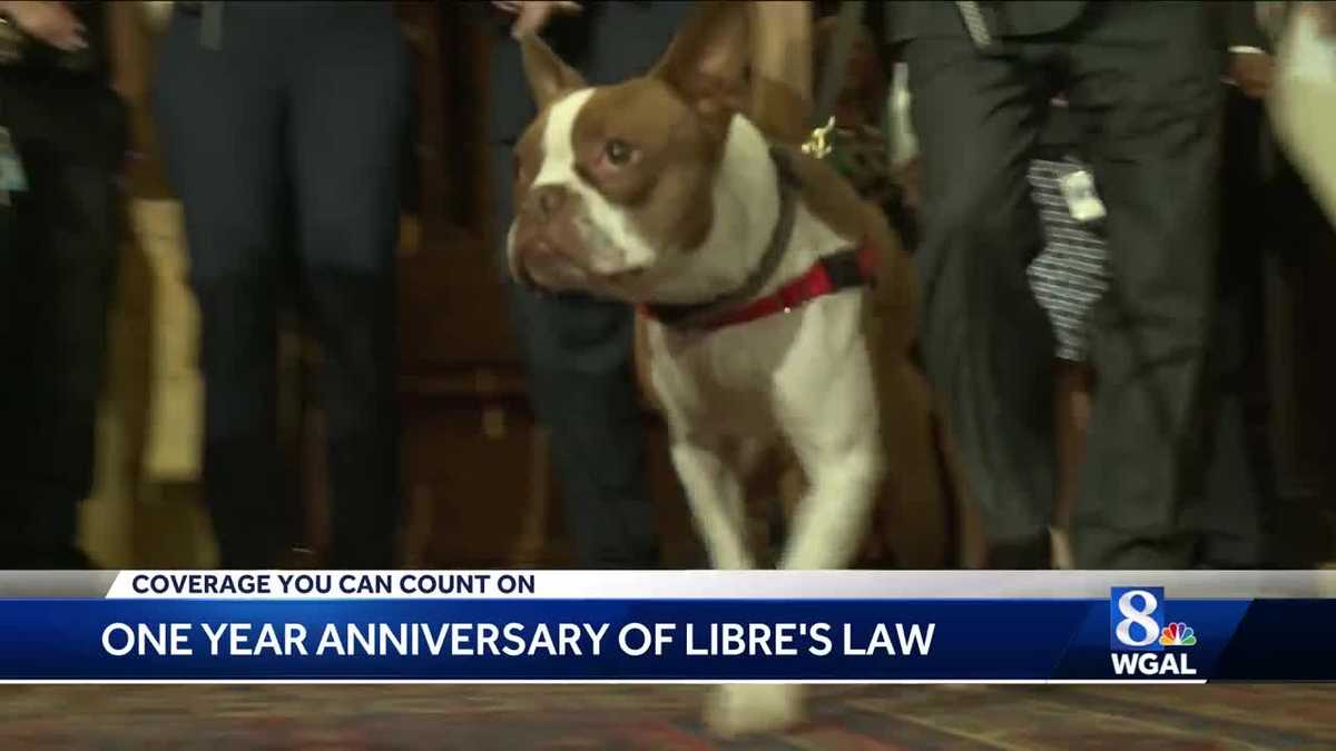Rescued dog Libre helps mark one-year anniversary of law he inspired