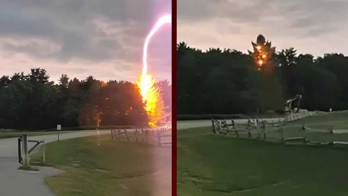 Photos show lightning strike tree, spark fire in Cumberland, Maine