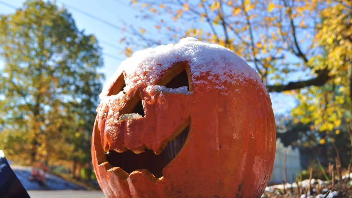 Photos: The Halloween snowstorm - Snowtober 2011