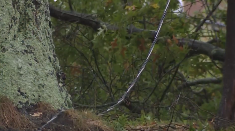 Cincinnati neighbors dealing with downed trees, power lines due to ...