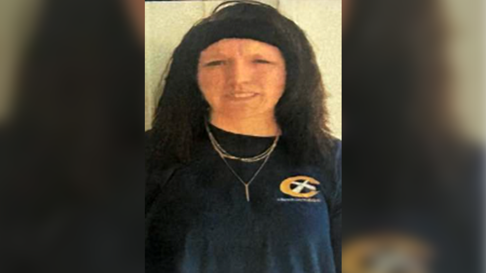 Missing in Georgia: Teen girl vanished overnight