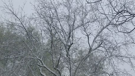 PHOTOS: Snow sweeps through parts of Nebraska