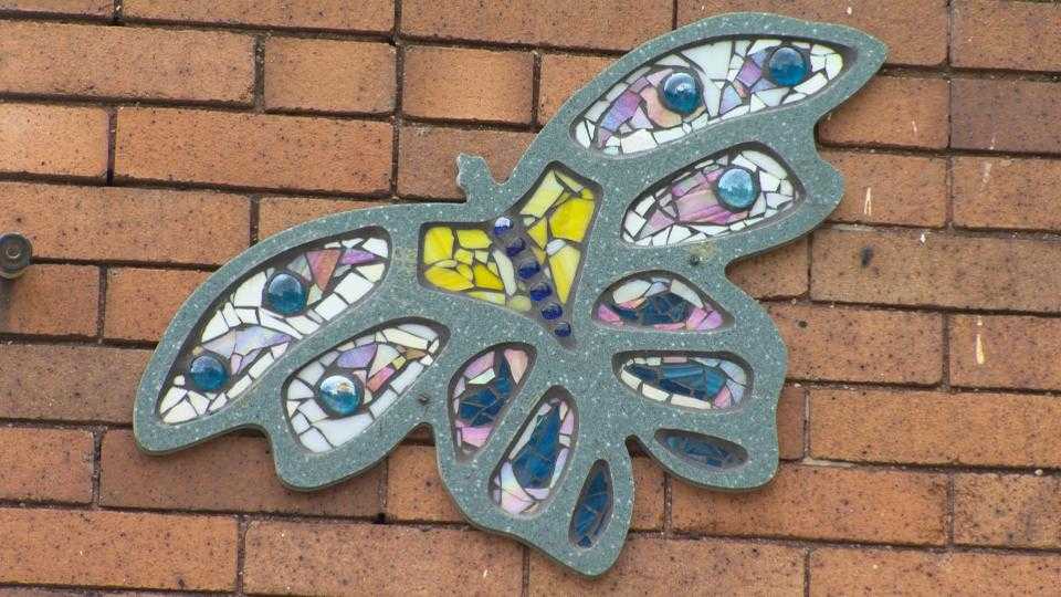 Baltimore artist transforms neighborhood with mosaics