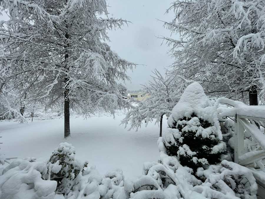 Maine a winter wonderland with first widespread snow of season