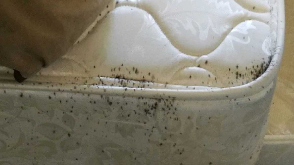 Residents found living in filthy conditions at independent living ...