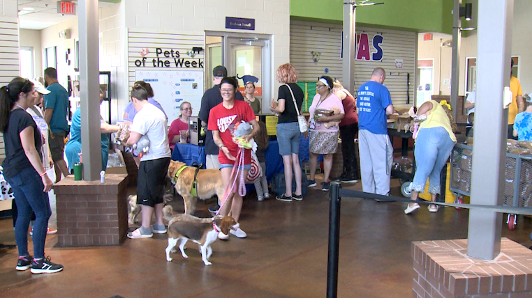LMAS holds pop-up microchipping clinic for Louisville pet owners