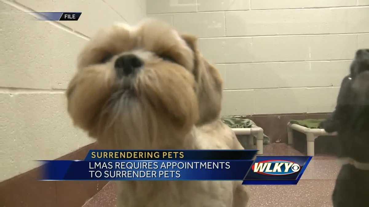 Appointment now required to surrender pet to LMAS