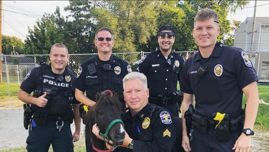 LMPD officers rescue miniature horse found roaming near Churchill Downs