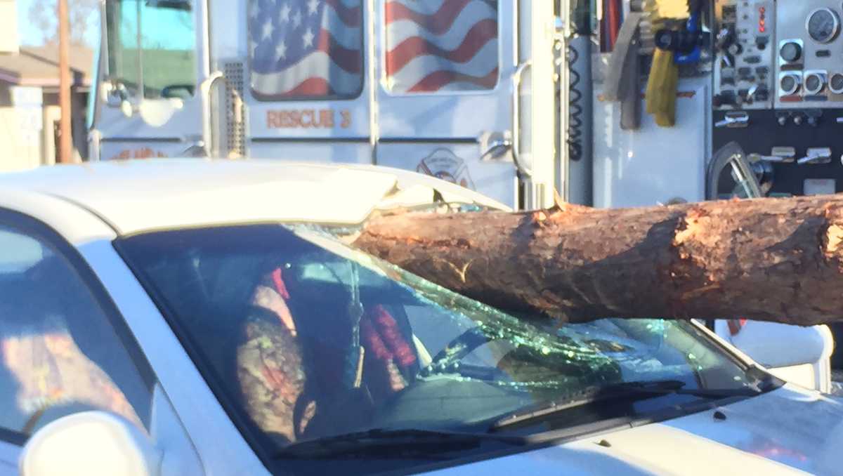 Log crashes through front windshield of car on Upstate highway