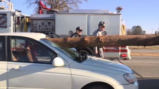 Pictures: Log smashes through windshield of car