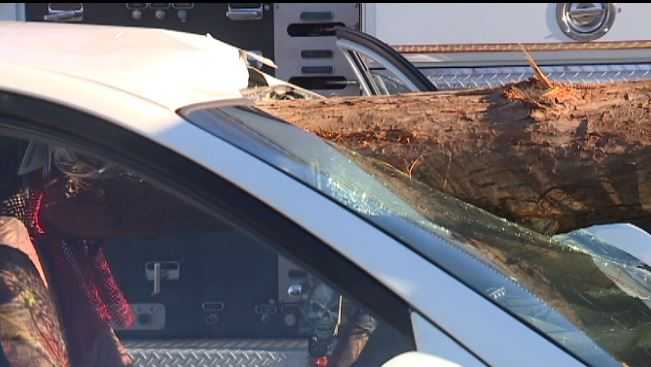 Pictures: Log smashes through windshield of car