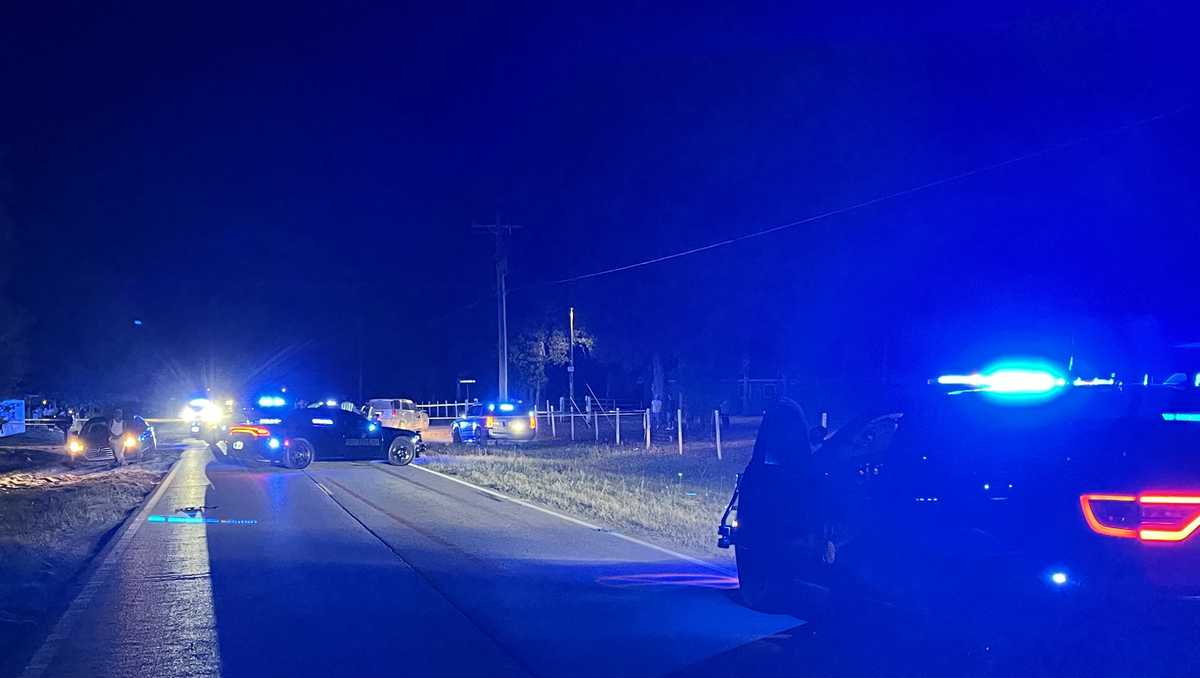 Pedestrian killed in Long County