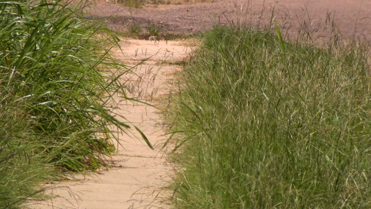 The C.U.T. Above taking applications to help ‘Keep Jackson Beautiful’