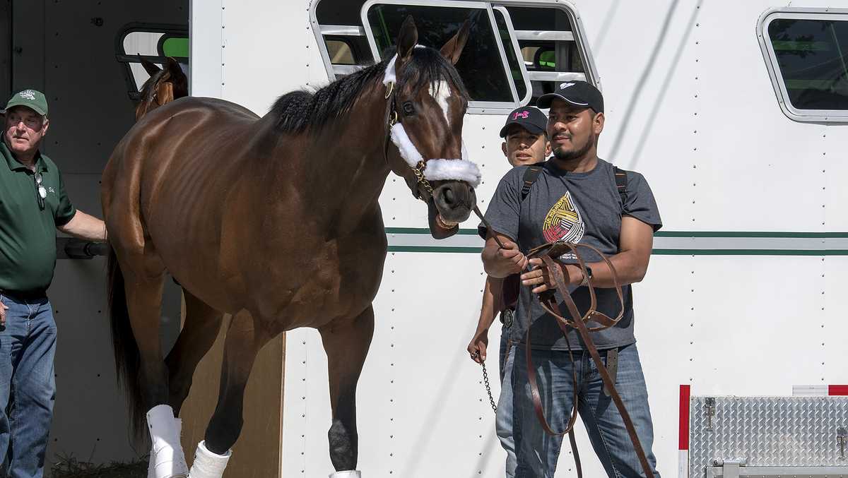 Lookin At Lee, Hence Preakness 2017 updates