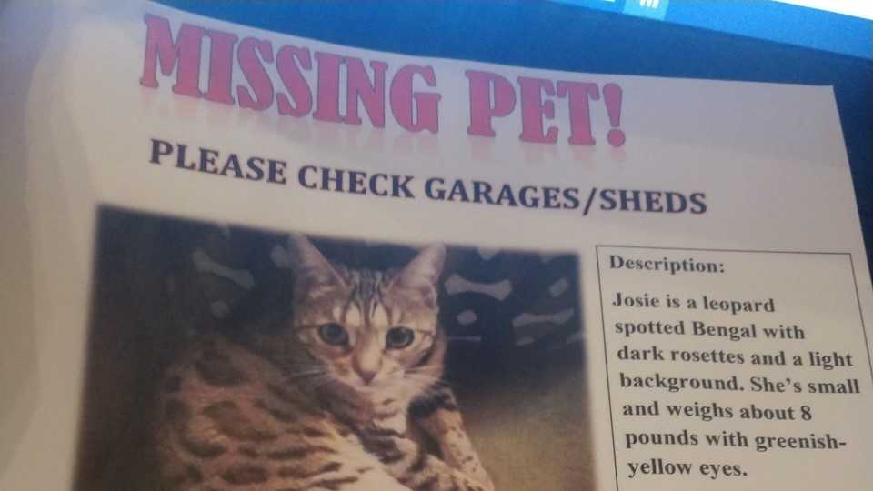 Lost and Found Pets in the WXII 12 Community