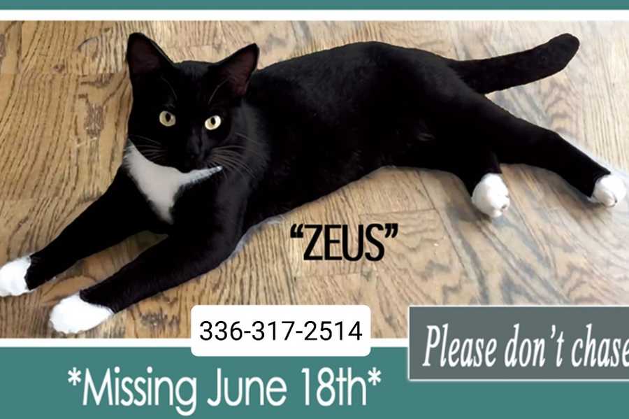 Lost and Found Pets in the WXII 12 Community