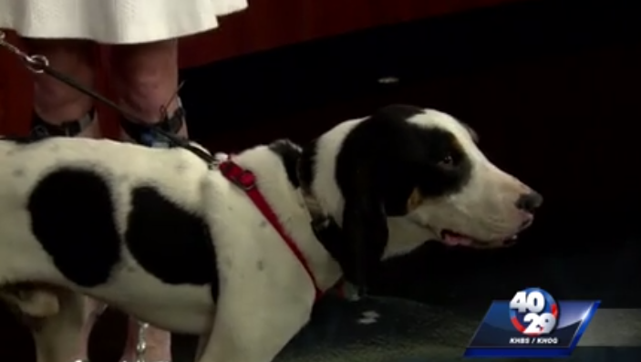 Pets on Set: Meet Louie Armstrong