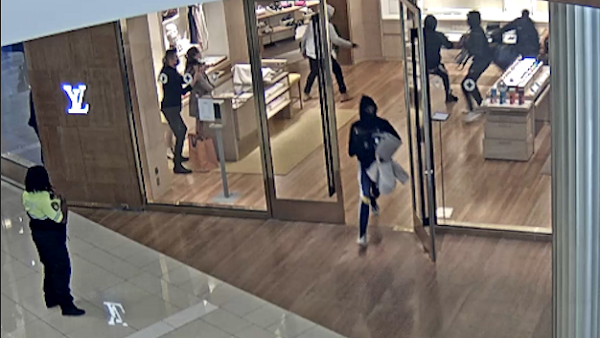 Investigators searching for thieves who robbed Louis Vuitton